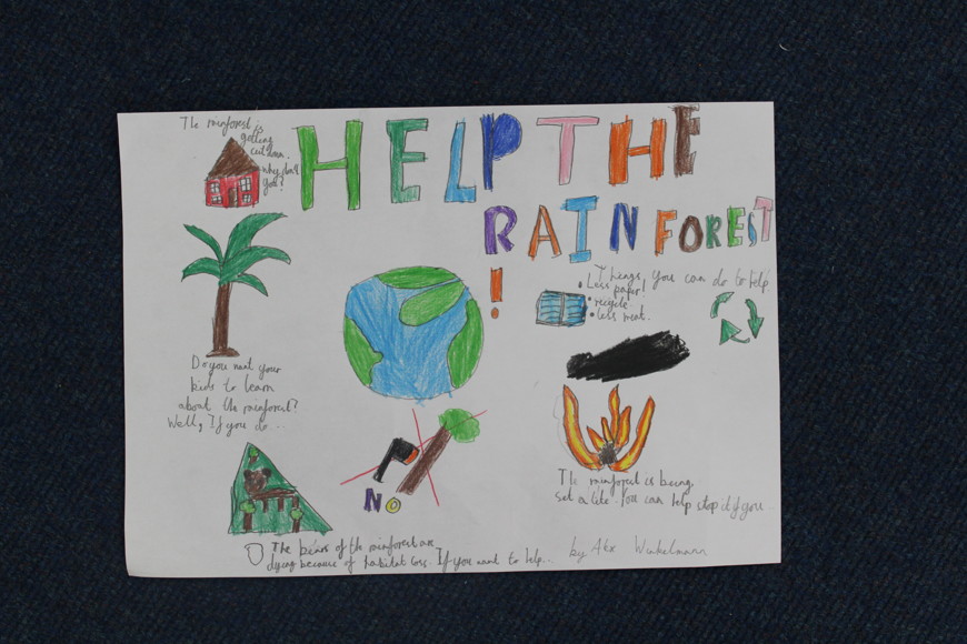 Year 4 Deforestation Posters - News - Widcombe Junior School