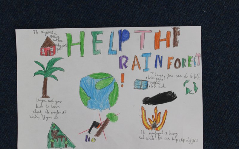 Year 4 Deforestation Posters - News - Widcombe Junior School